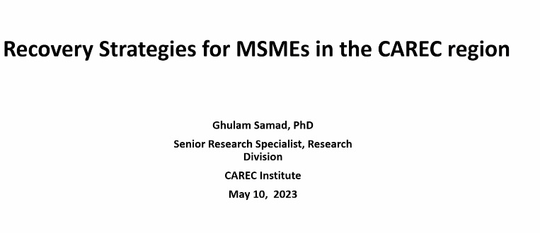 Unleashing the Potential of MSMEs in the CAREC Region-CAREC Institute E ...
