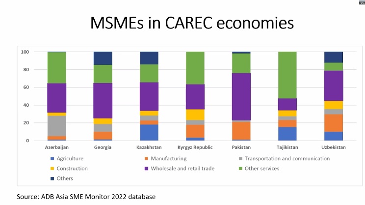 Unleashing the Potential of MSMEs in the CAREC Region-CAREC Institute E ...
