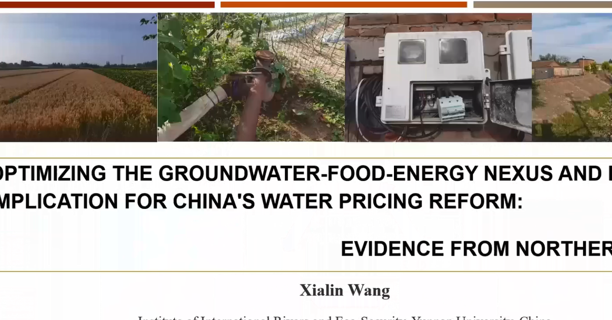 Tackling Food Insecurity During Economic Turbulence: Exploring ...